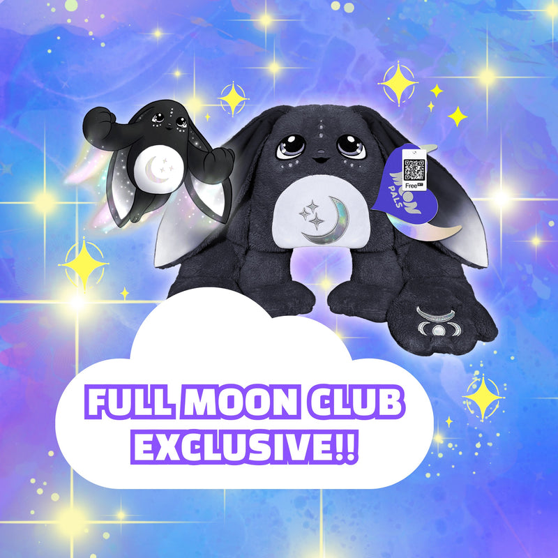 Mystery Midnight Moon Pal – Moon Pals